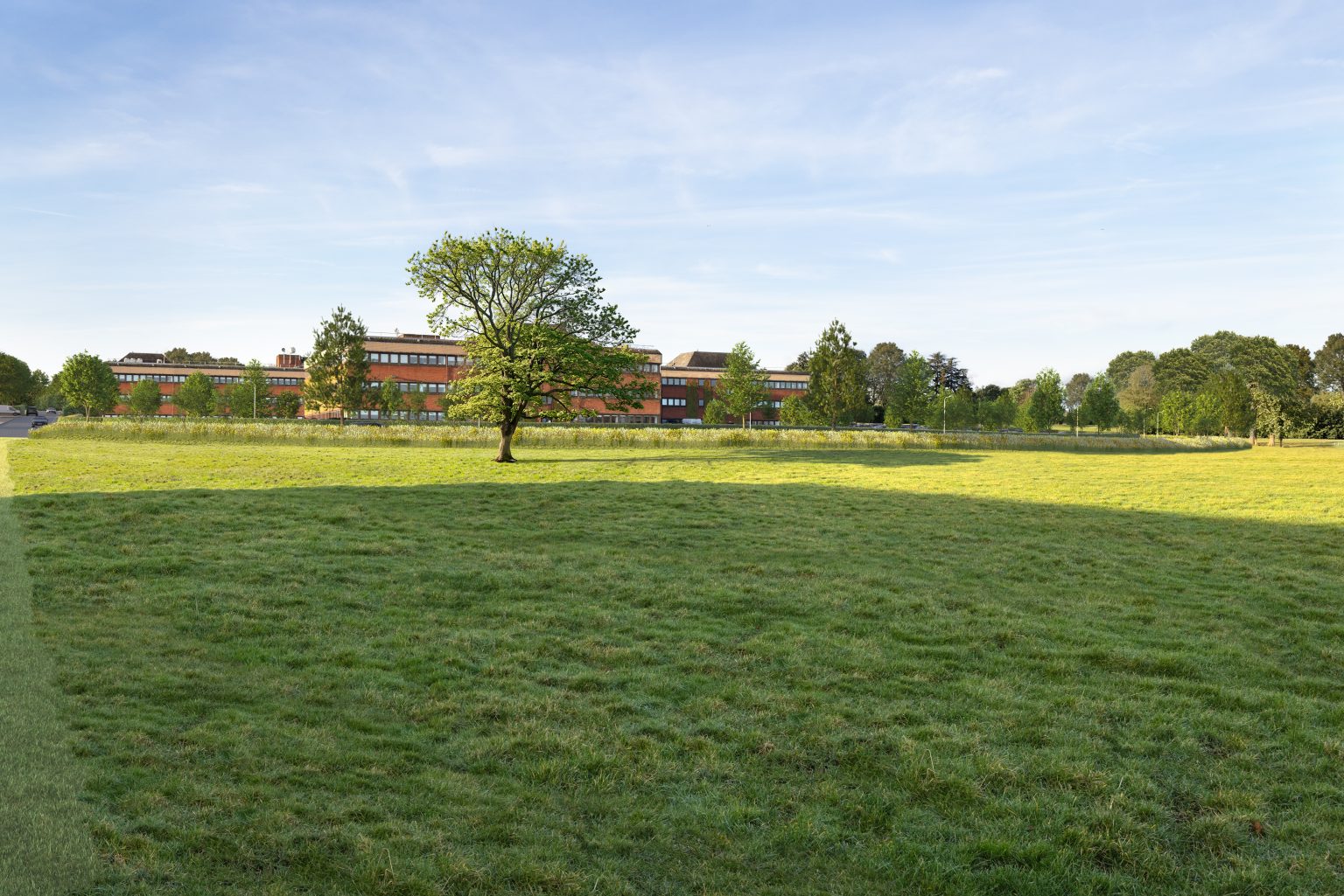 Booths Park Consultation
